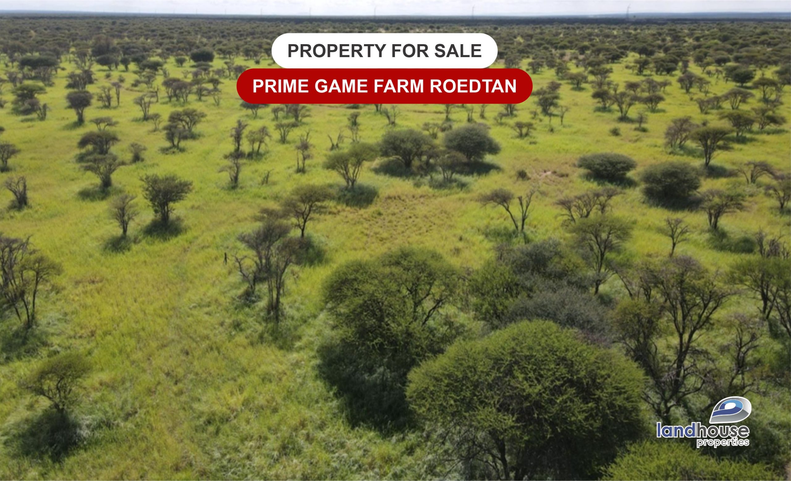 Prime Game Farm - Roedtan (Properties for Sale) | Landhouse Properties